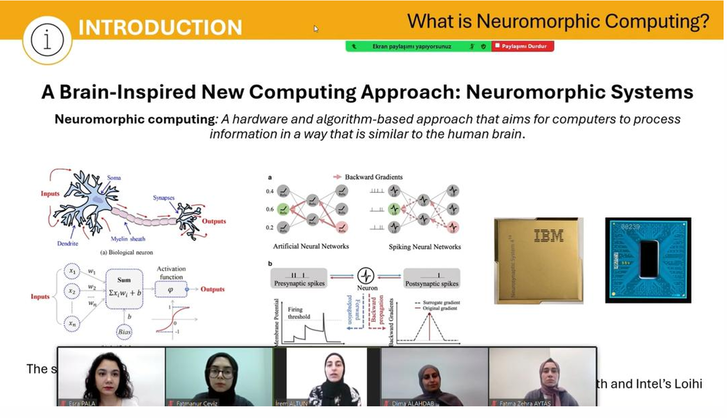 Complete Responsive Portfolio Website
